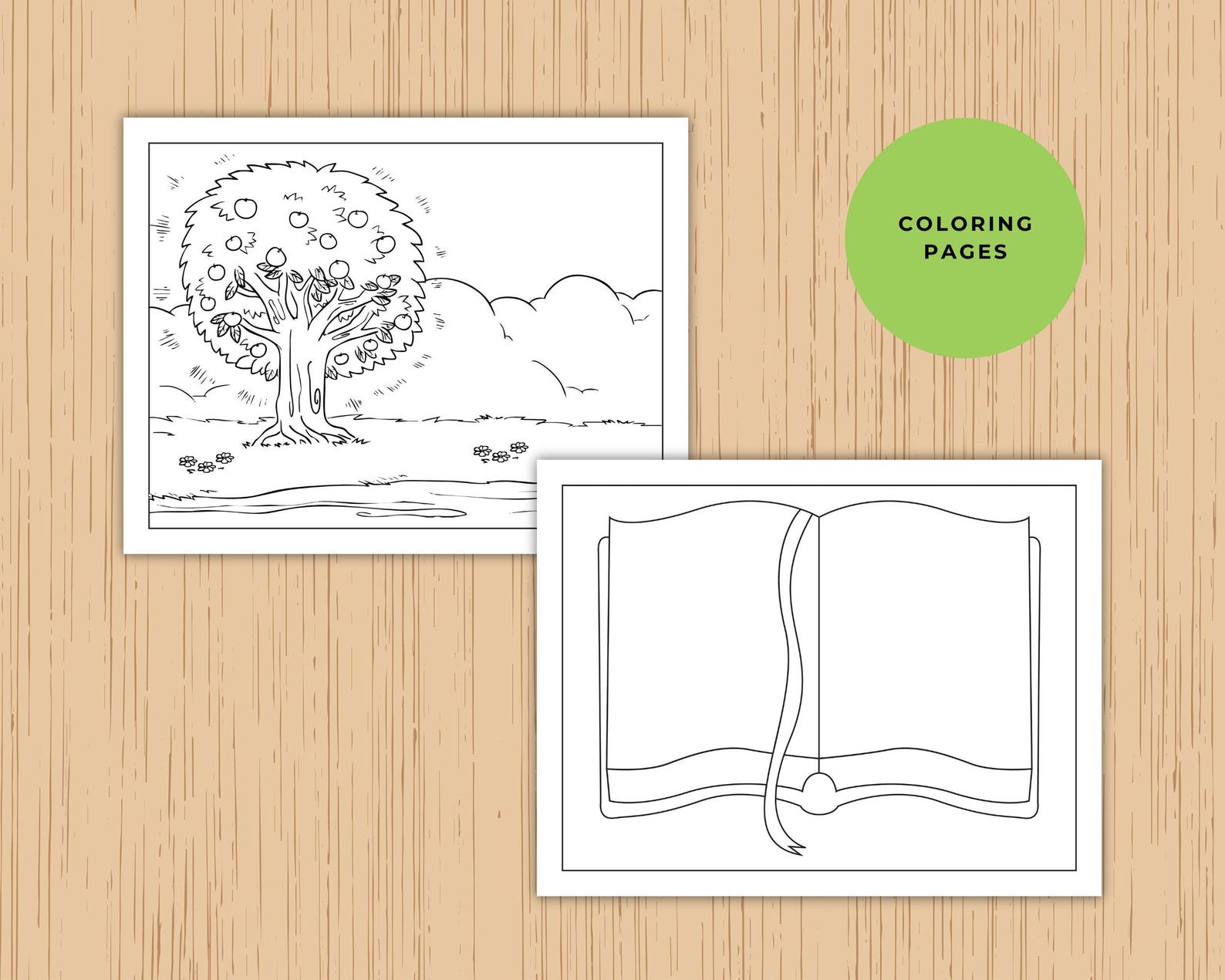 Psalm 1 Activity Pages, Delight in the Law of the Lord, Sunday School ...