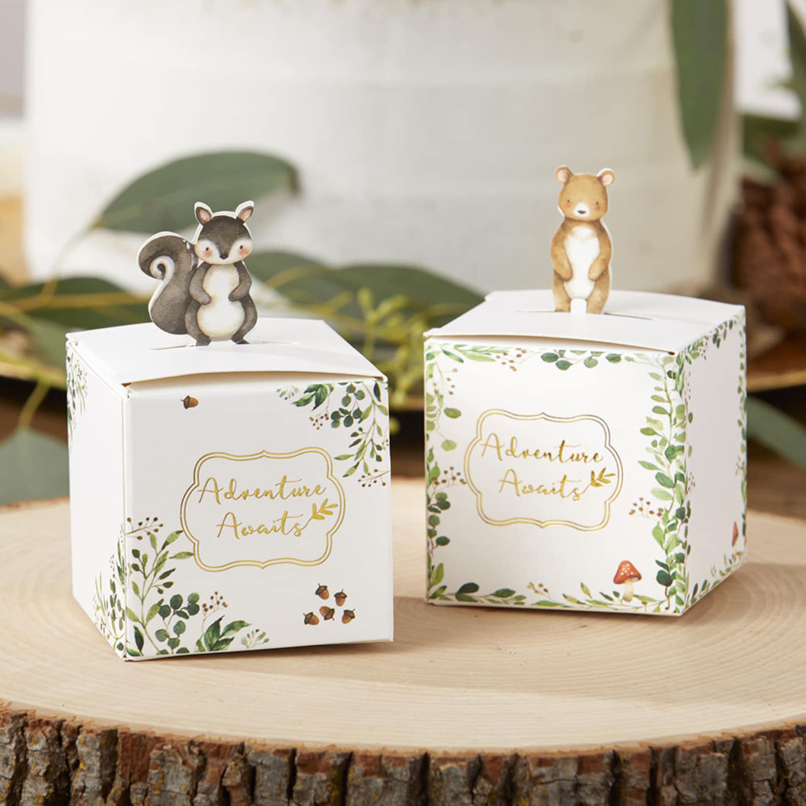 Woodland Animals Favor Boxes 24ct – Baby Shower Treat Boxes - Etsy