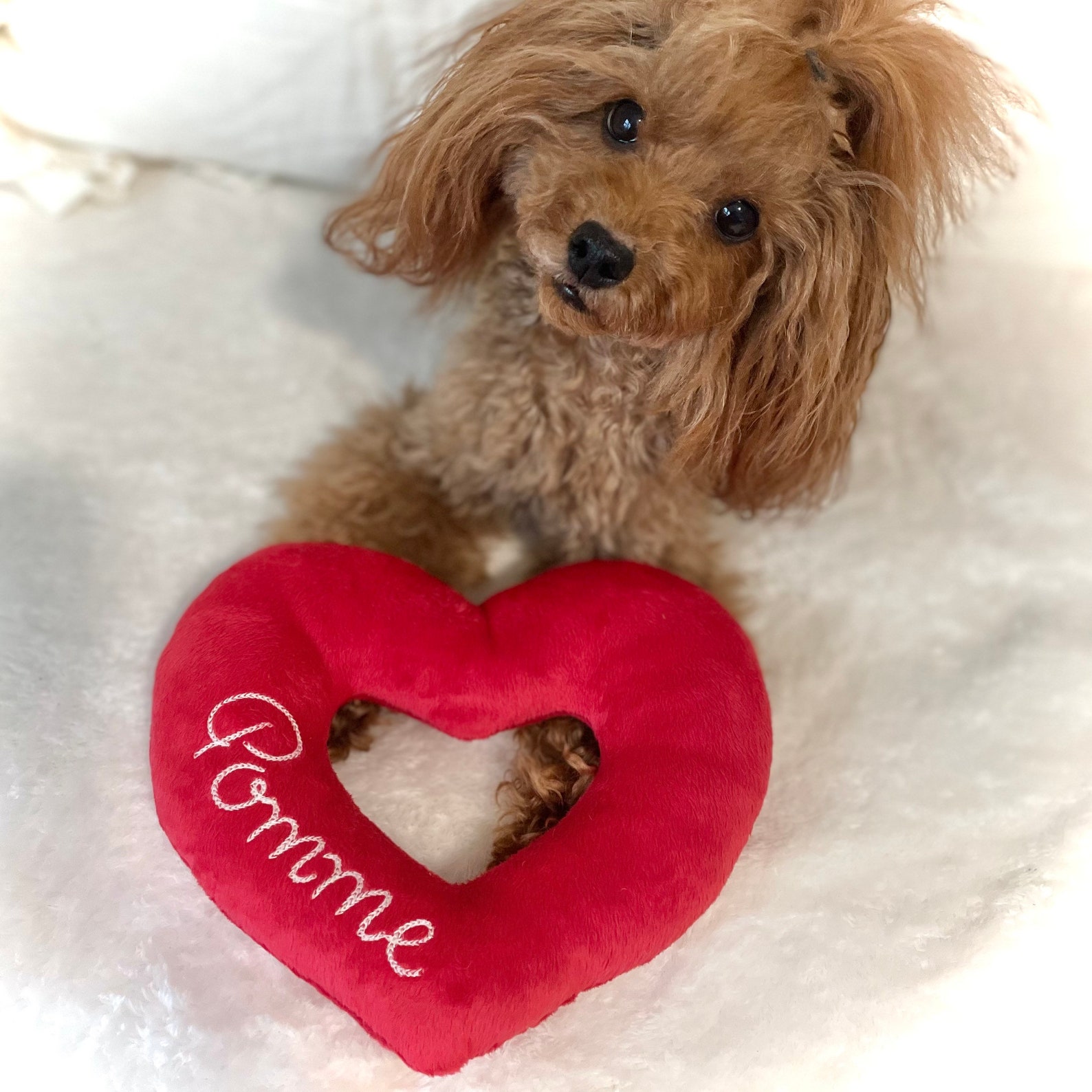 Personalized Heart Dog Toy: Chain Stitch Embroidered, 9"x8" Custom ...