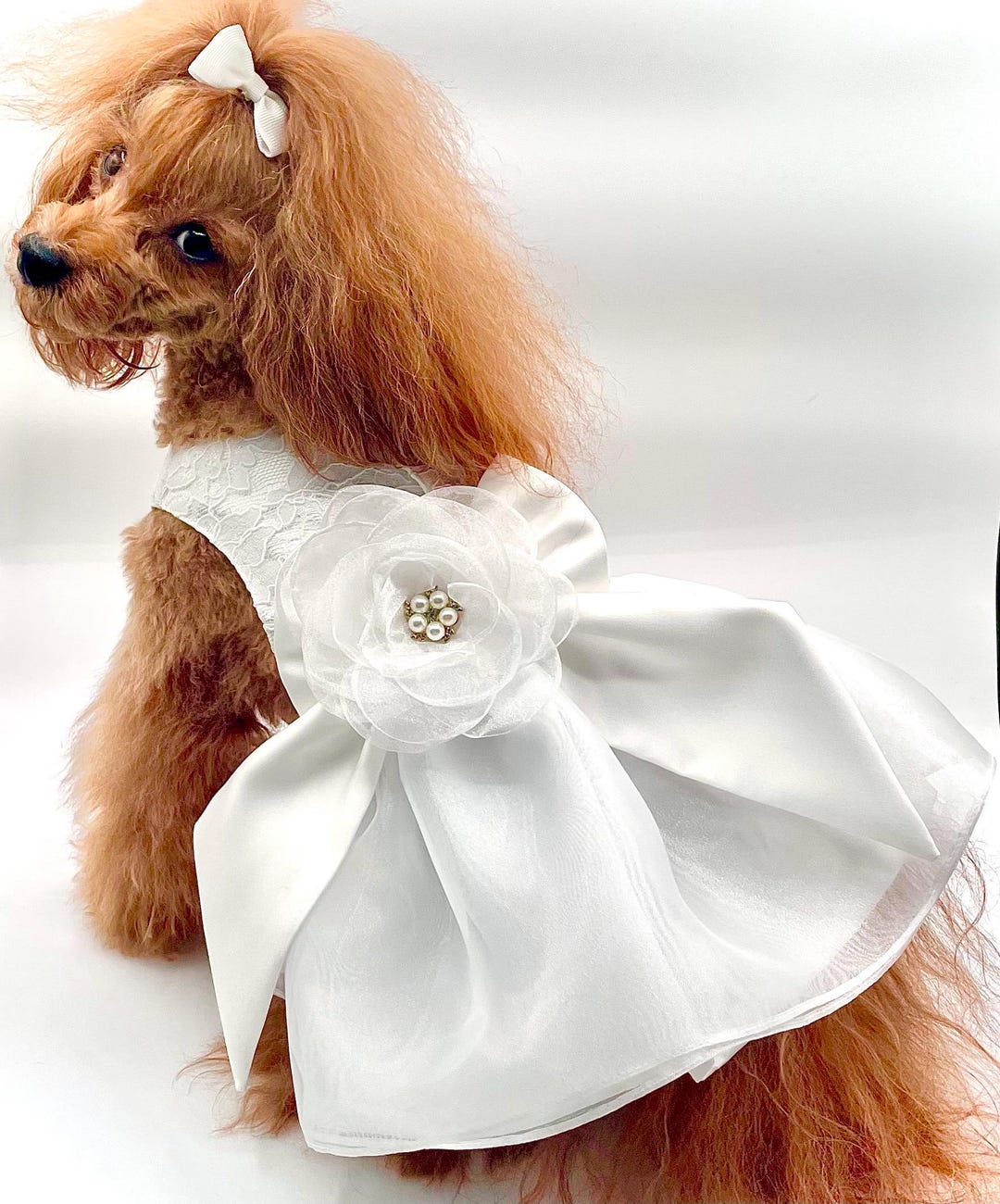 Small Dog Flower Girl Wedding Dress (organza)- Pomme D’amour - Etsy