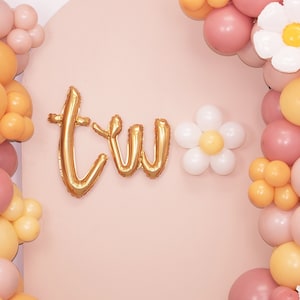 Retro Daisy Daisy TWO Banner | Gold Script Letters With Daisy Flower O ...