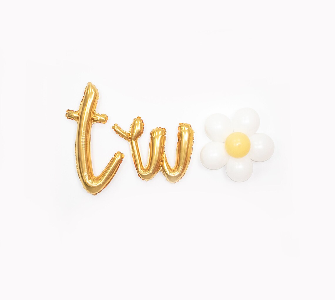 Retro Daisy Daisy TWO Banner | Gold Script Letters With Daisy Flower O ...
