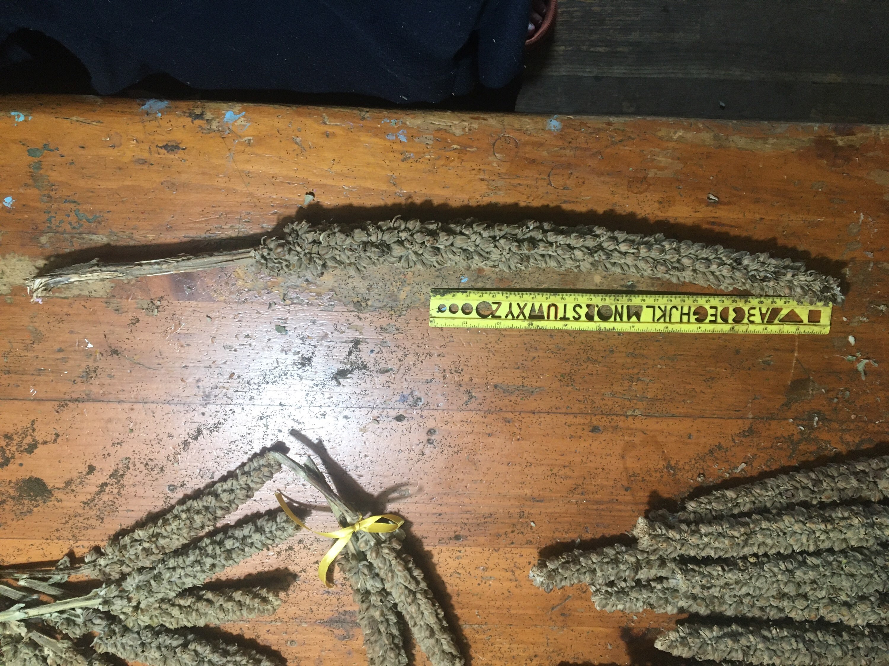 2X Mullein Stalks/hag Sticks/ Wiccan Candles/torches - Etsy