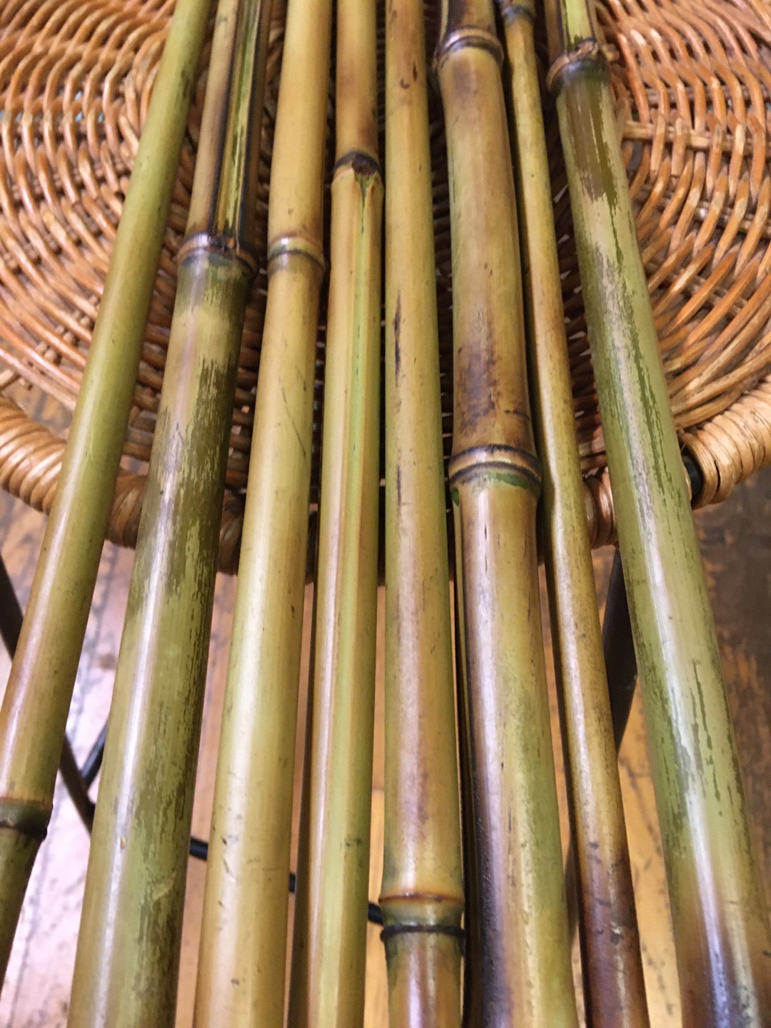8 X Torch Cured Bamboo 2 Foot Long - Etsy