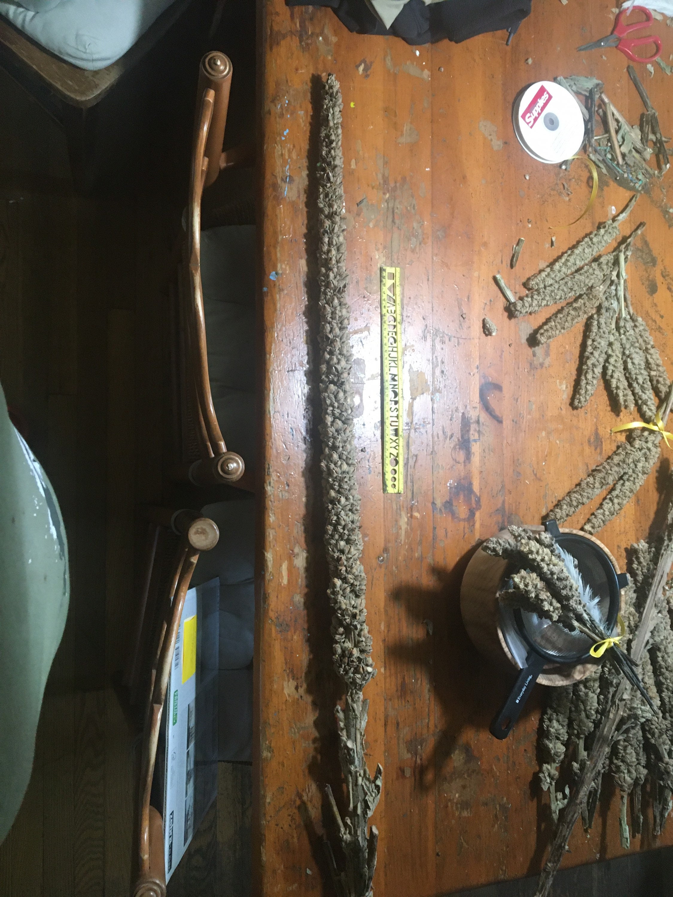 2X Mullein Stalks/hag Sticks/ Wiccan Candles/torches - Etsy