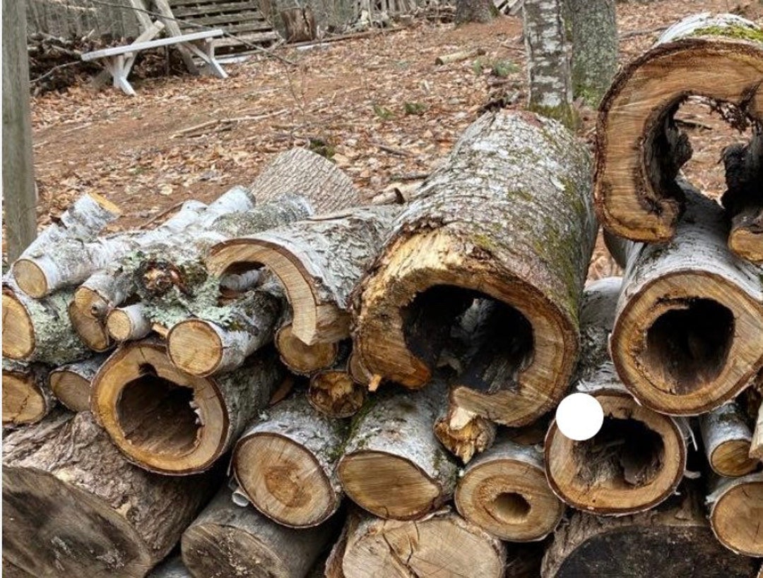 Assorted Logs, Hollowed Logs and Unusual Shaped Branches/custom - Etsy