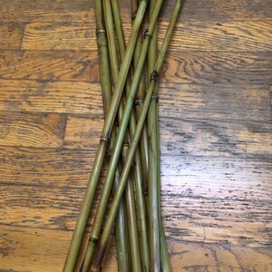 8 X Torch Cured Bamboo 2 Foot Long - Etsy