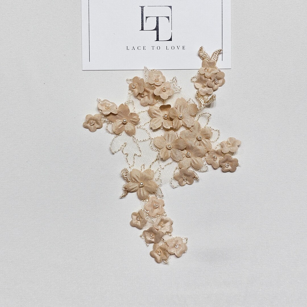Skin Color Lace Motif, Beige Beaded 3D Flower Lace Applique, Delicate ...