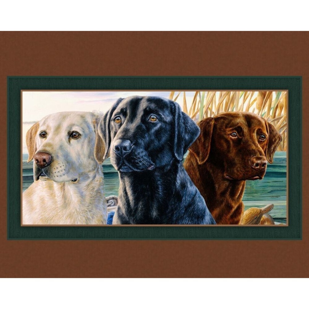 LAB TRIO Fabric Quilt Panel 36" X 45", Dogs, Labrador, Puppies (see ...