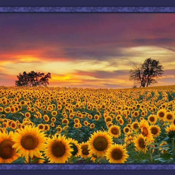 Sunflower Fabric Panel - Etsy