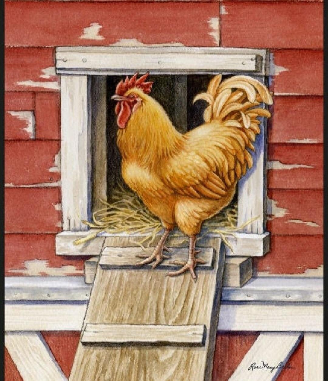 ROOSTER Fabric Quilt Panel 36" X 45", Chicken, Yardbirds, Farm Animal ...