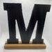 Cowhide & Wool Western Letter M Shelf Decor - Etsy