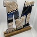 Cowhide & Wool Western Letter M Shelf Decor - Etsy