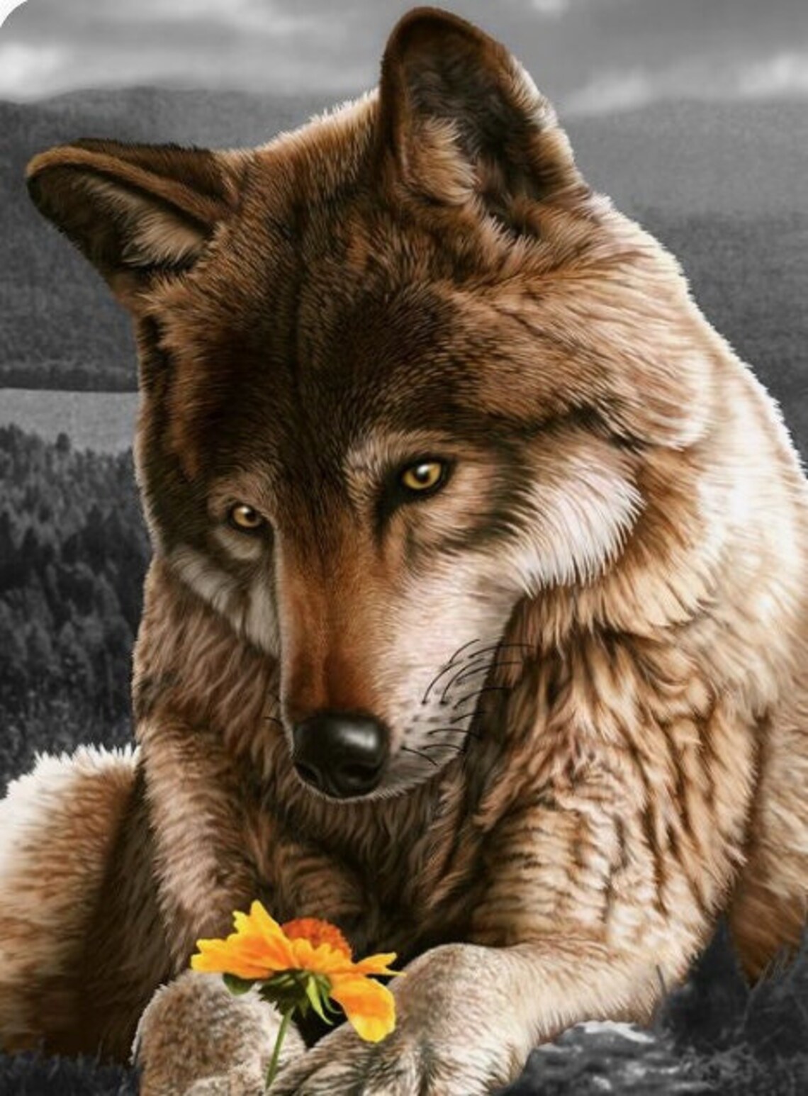 Male Lycan Were Wolf Companion Direct Remote / Distant Binding - Etsy