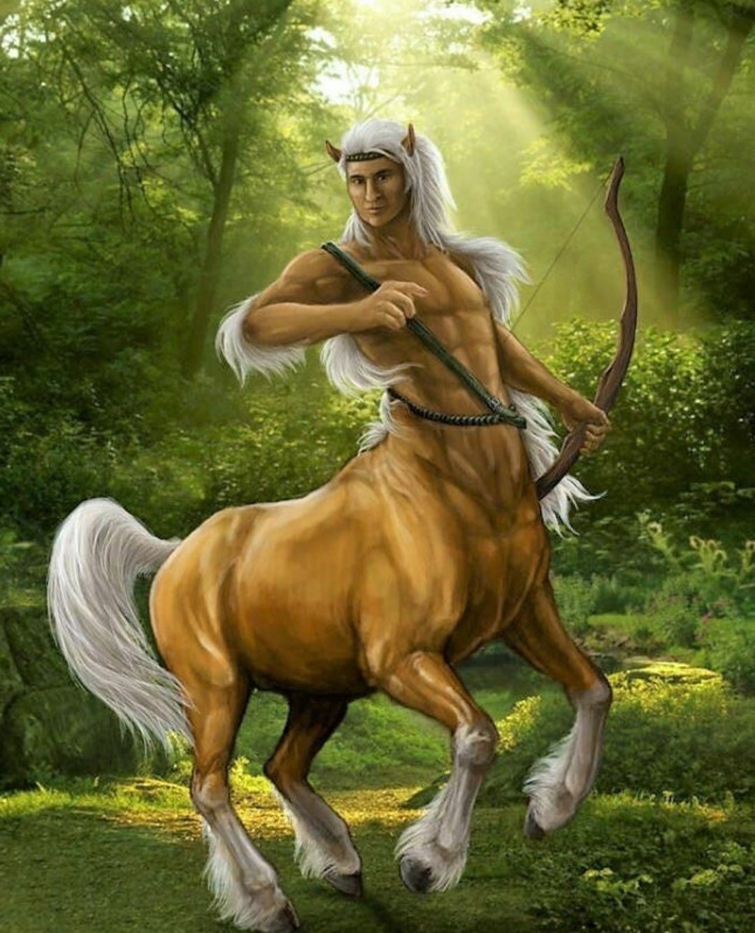 Male Centaur Companion Direct Binding - Etsy