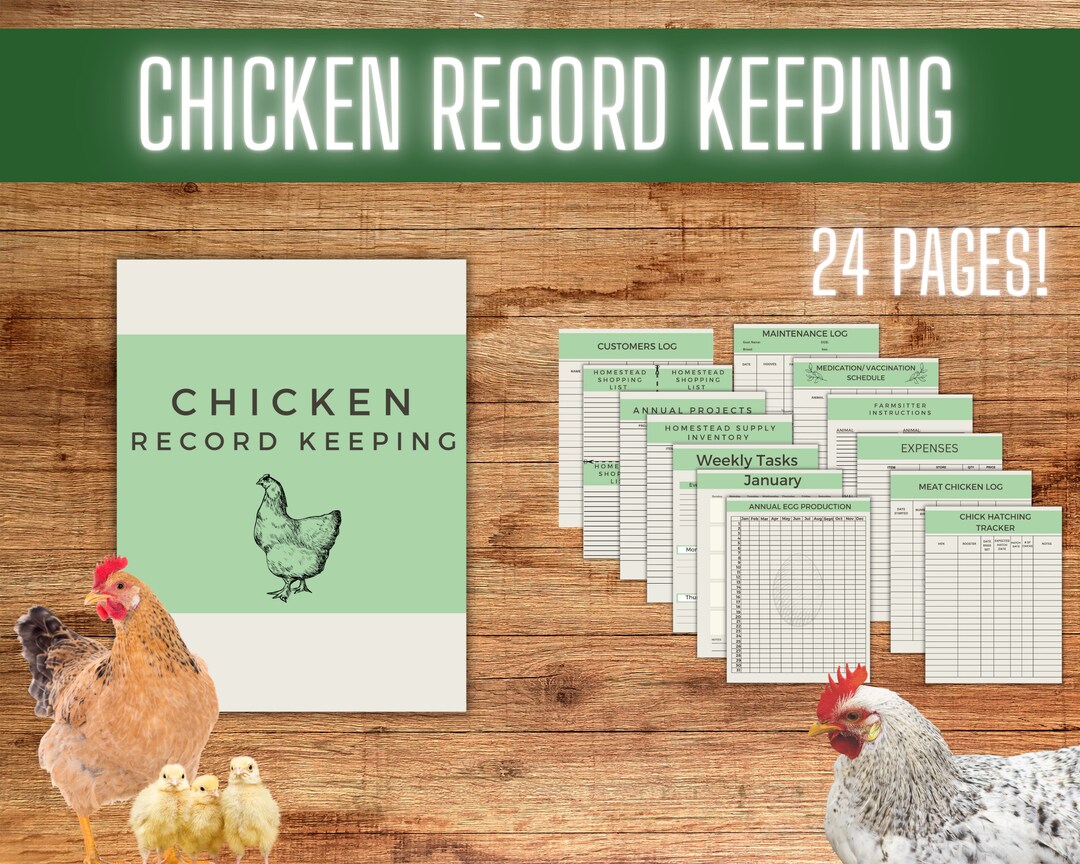 Chicken Record Keeping, Egg Log, Poultry Keeping, Chicken Journal, Meat ...