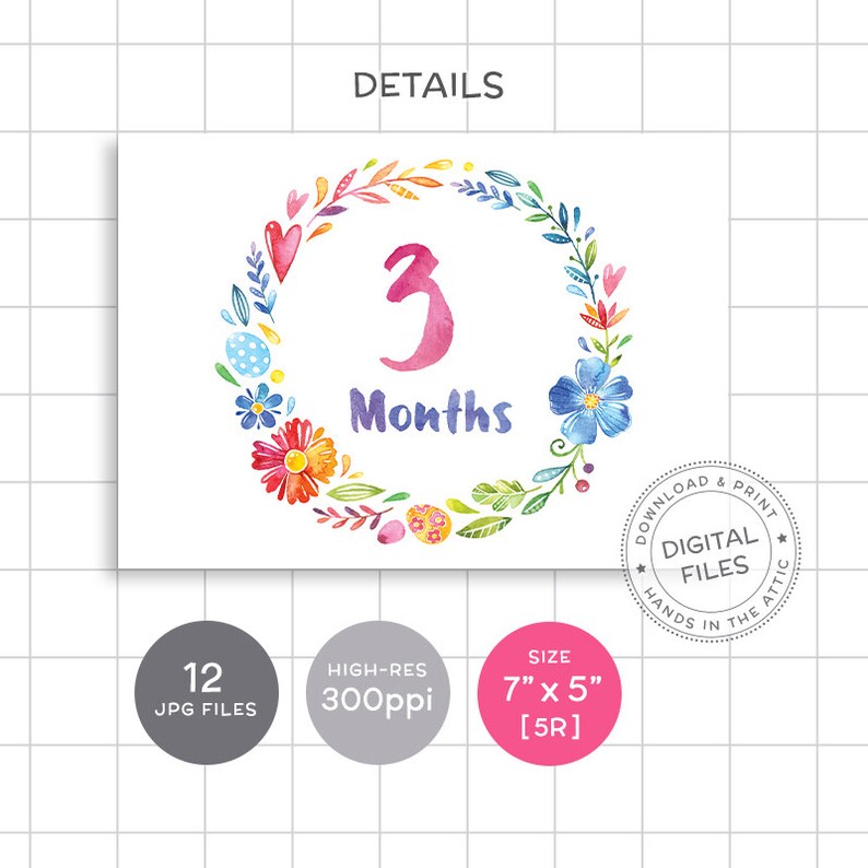 Monthly Baby Diy Baby Photo Props Floral Photo Signs for - Etsy