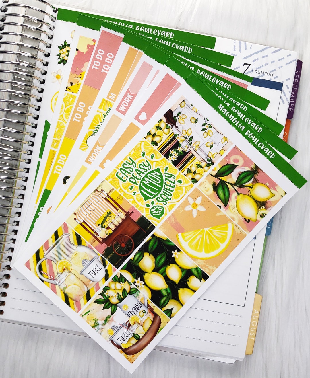 Lemonade Weekly Planner Sticker Kit Perfect for Your Erin Condren Life ...