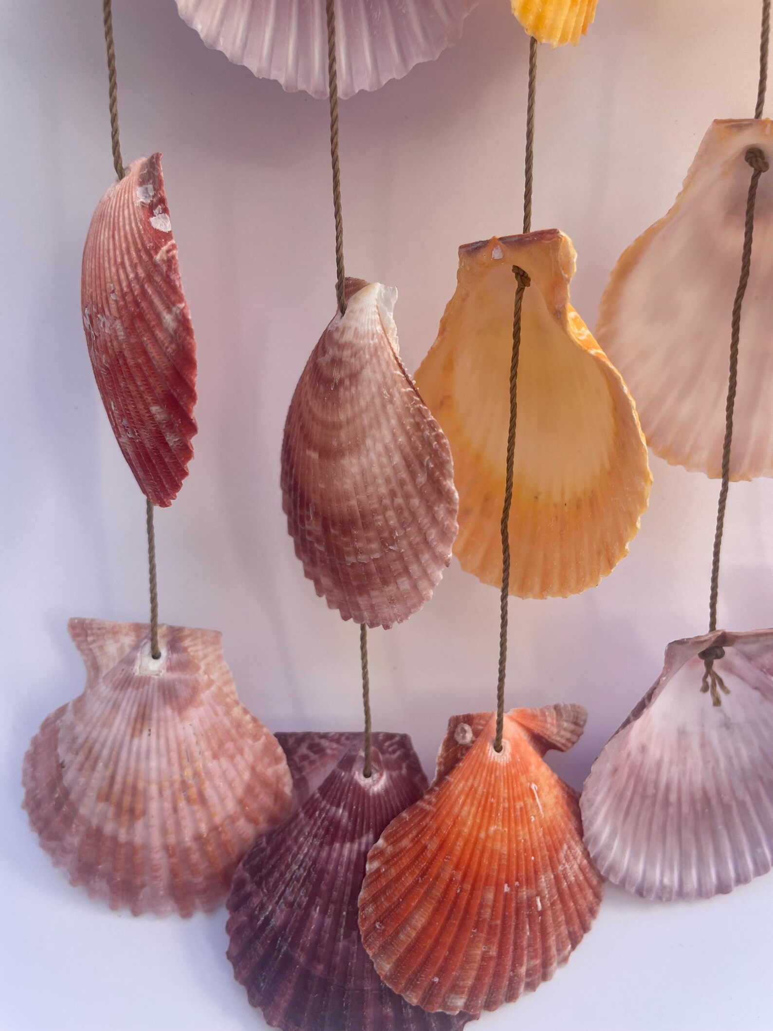 Colorful Seashell Wall Hanging Wind Chime Beach Decor Coastal ...