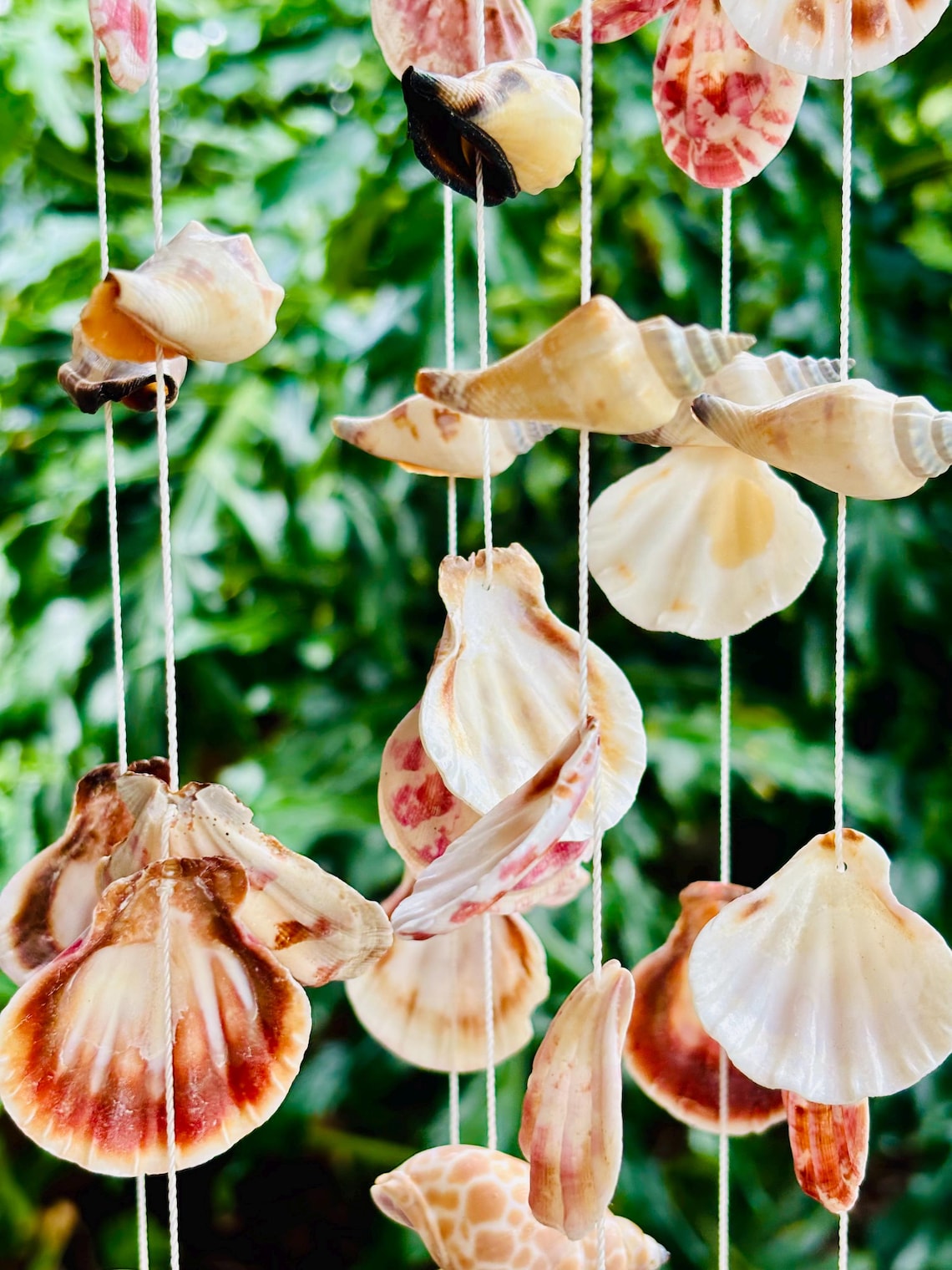 Seashell and Coconut Wind Chime for Coastal Decor Beach Vibes - Etsy