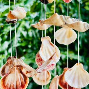Seashell and Coconut Wind Chime for Coastal Decor Beach Vibes Tropical ...