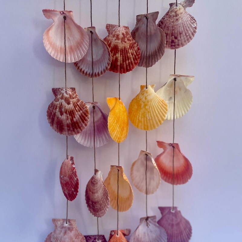 Seashell Wall Decor - Etsy