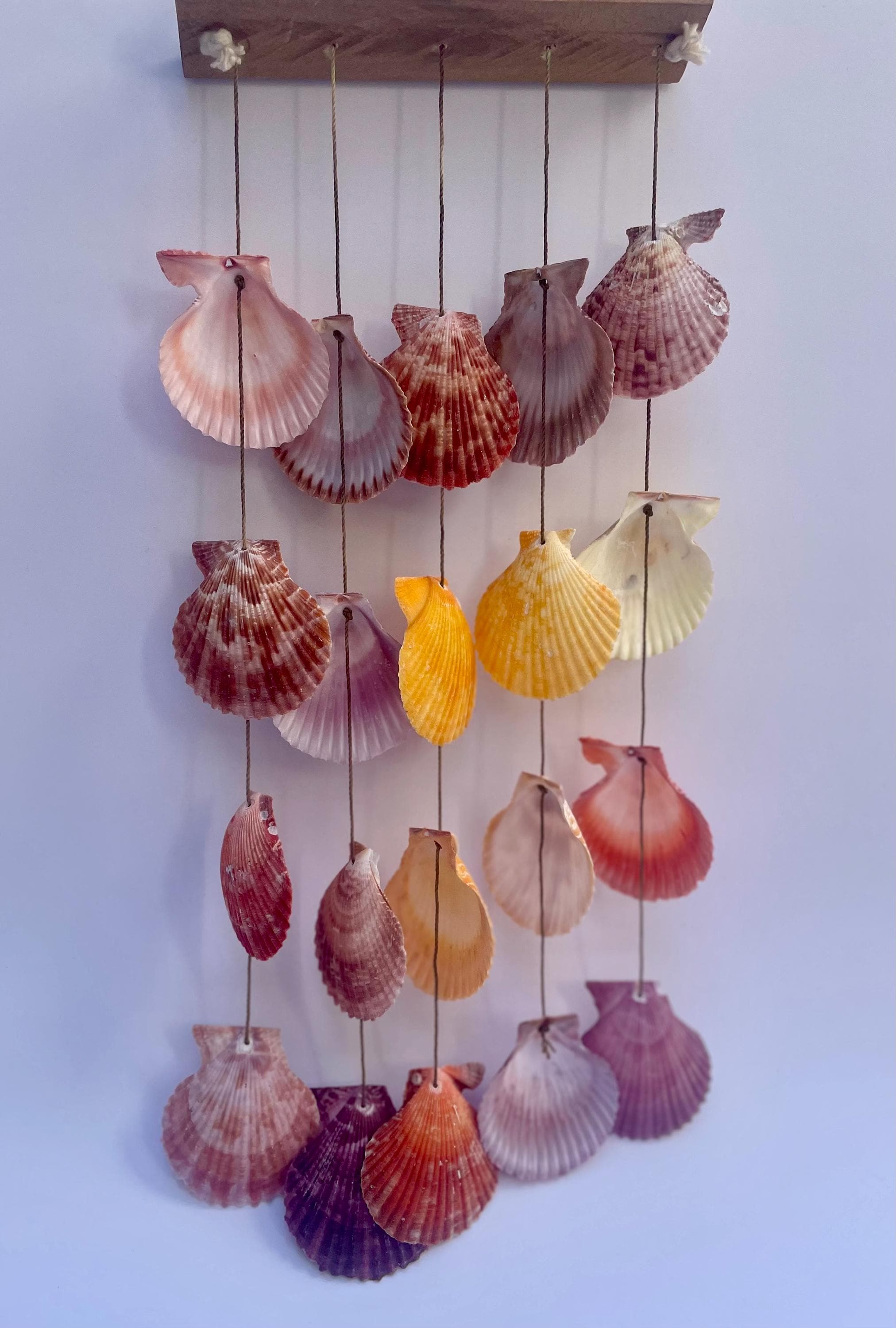 Colorful Seashell Wall Hanging Wind Chime Beach Decor Coastal ...