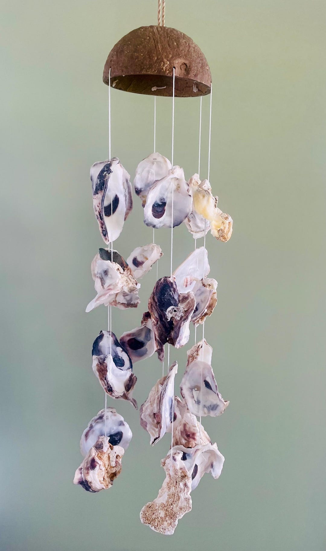 Oyster Shell Wind Chime With Coconut Top Coastal Decor - Etsy