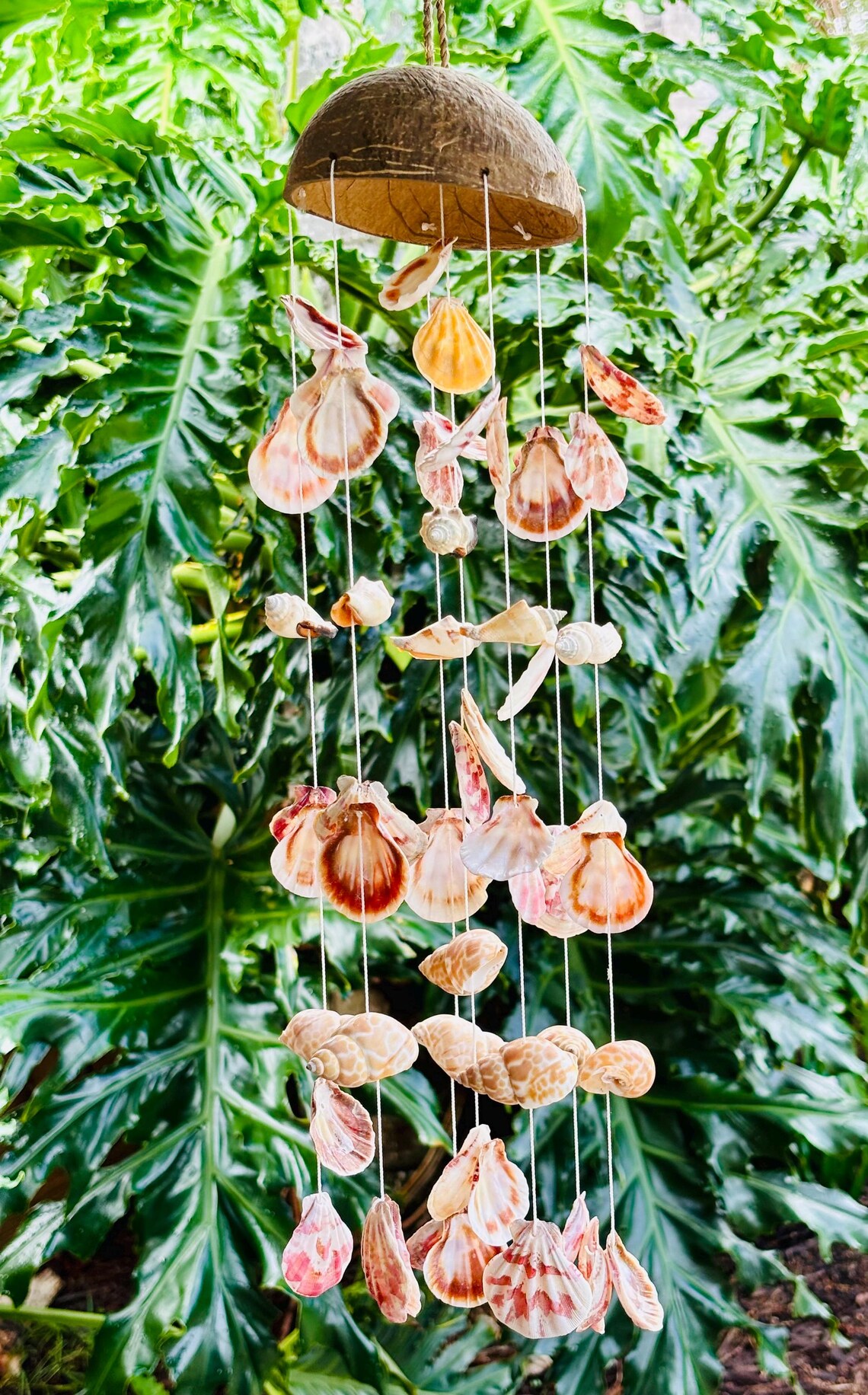 Seashell and Coconut Wind Chime for Coastal Decor Beach Vibes - Etsy