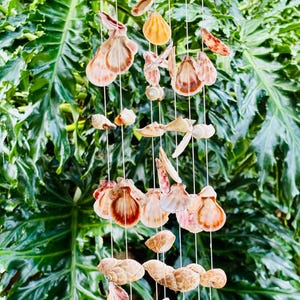 Seashell and Coconut Wind Chime for Coastal Decor Beach Vibes Tropical ...