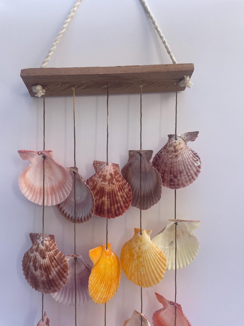 Colorful Seashell Wall Hanging Wind Chime Beach Decor Coastal ...