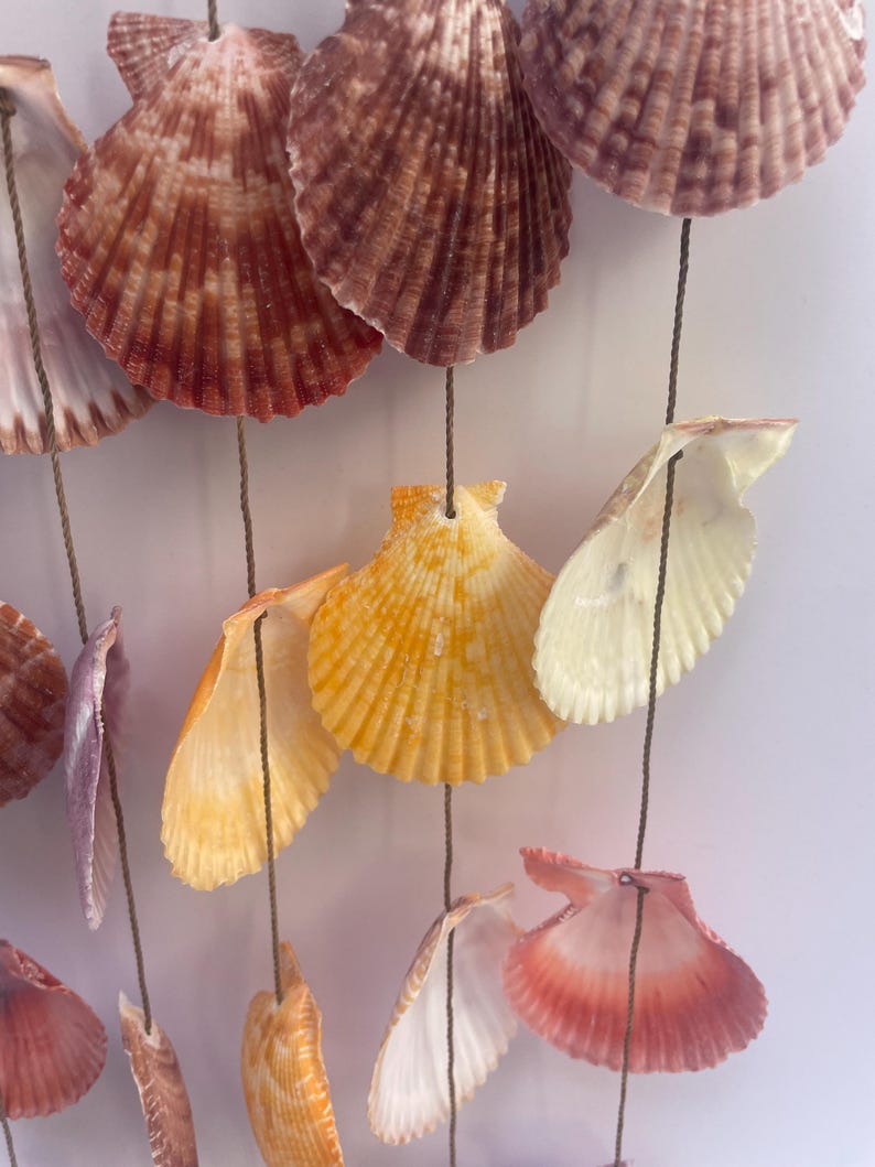 Colorful Seashell Wall Hanging Wind Chime Beach Decor Coastal ...