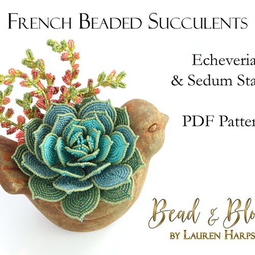 PDF Pattern French Beaded Succulents Echeveria and Sedum - Etsy