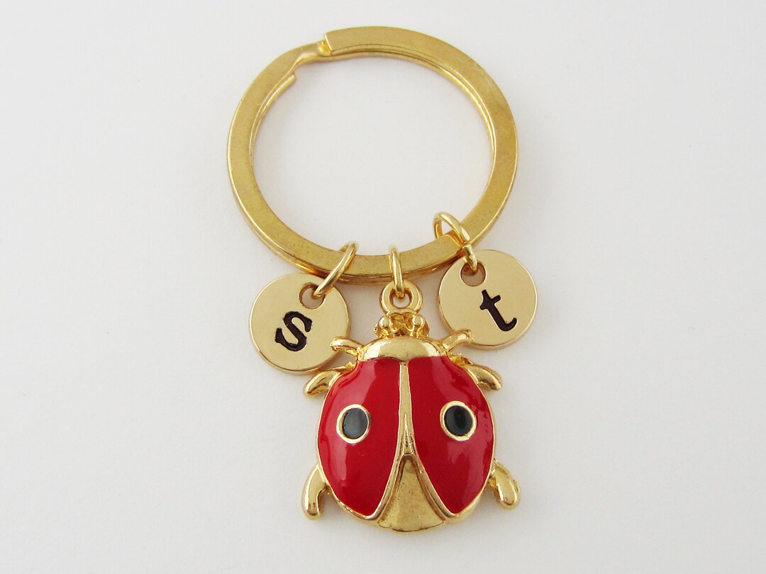 Ladybug Keychain Gold and Epoxy Key Chain Red Ladybug Charm Ladybug ...