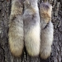 Make Your Own Therian Tail Instructions,make Your Own Tail,therian Tail ...