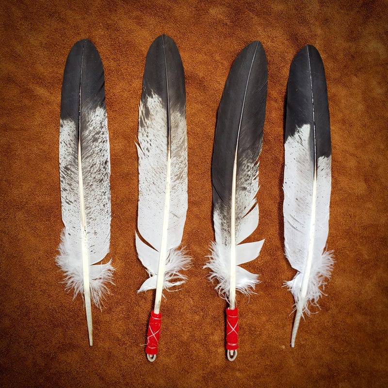 Eagle Feather - Etsy