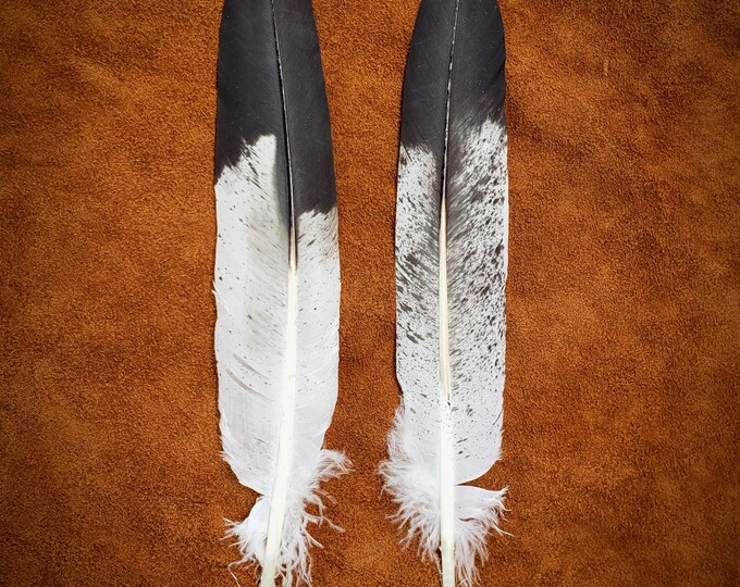 Imitation Eagle Feathers - Hand-painted Replica - Etsy
