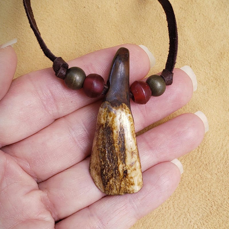 Elk Teeth - Etsy