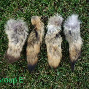 Group of Scrap Coyote Tails - Real Brush Wolf Tail - Etsy