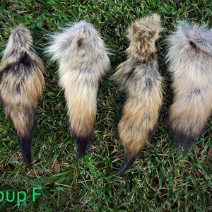 Group of Scrap Coyote Tails - Real Brush Wolf Tail - Etsy
