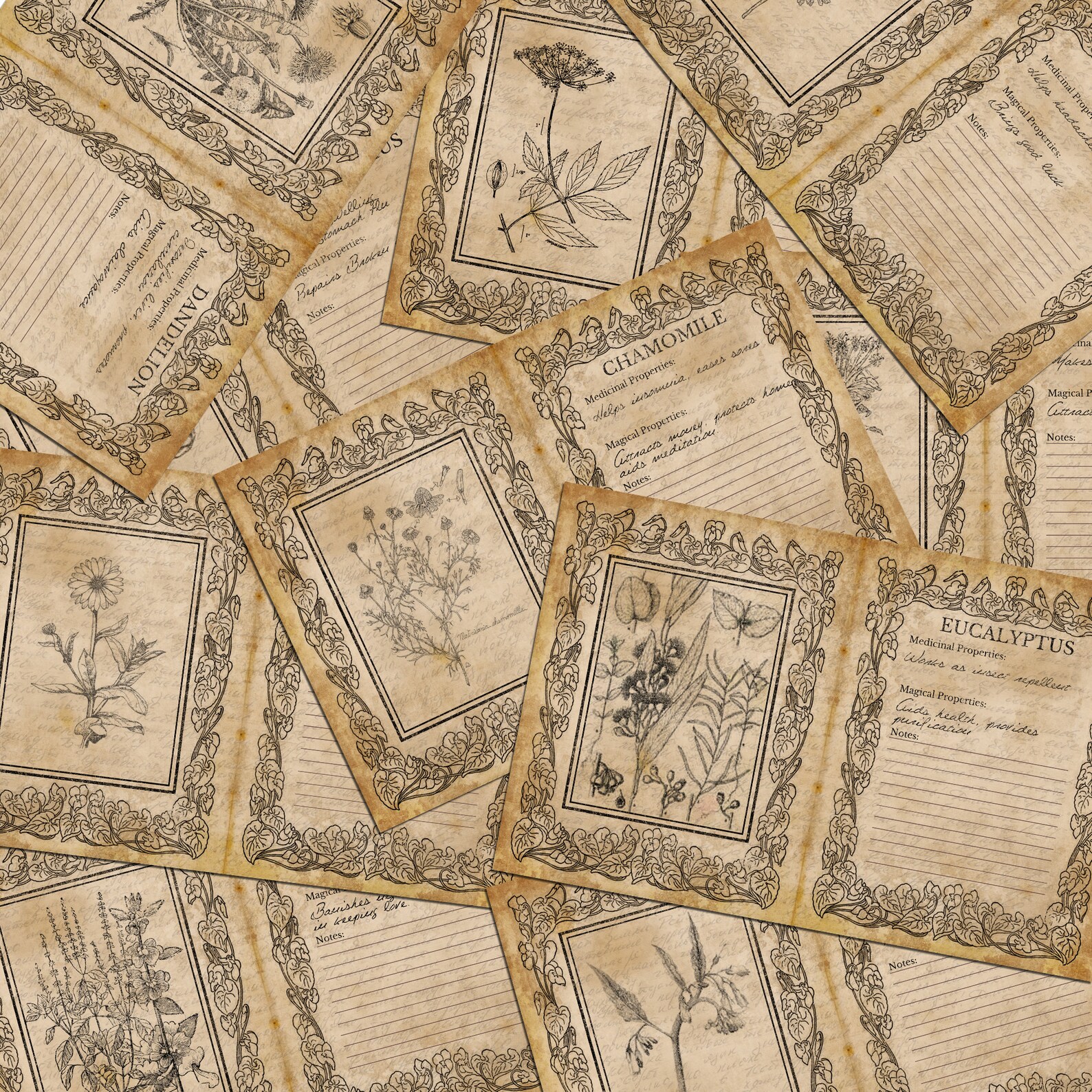 Herbology Pages Pack 1 Botanical Witch - Etsy