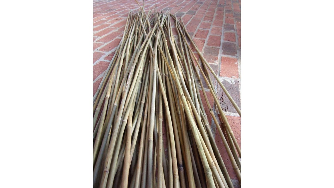 Tonkin Cane Arrow Shafts (12 Count) - Etsy