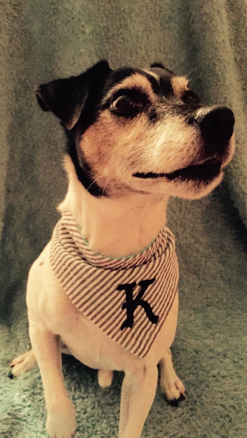 The Kato Dog Bandana | Etsy