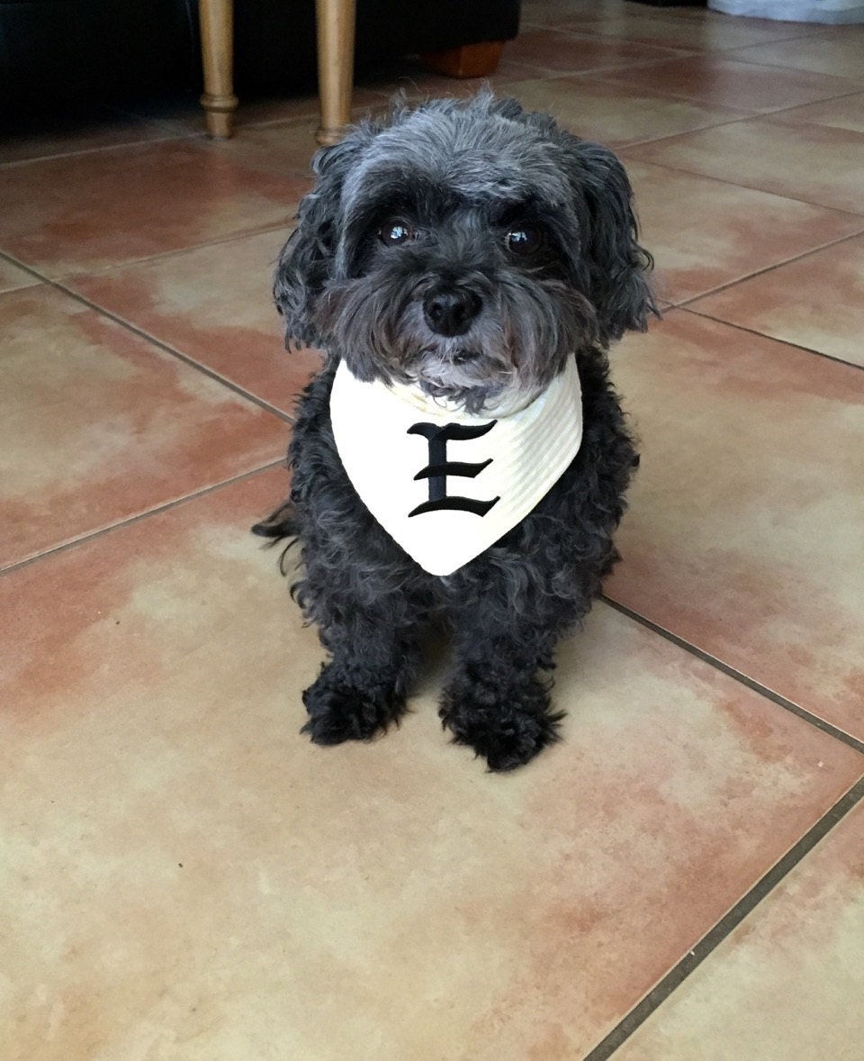The Kato Dog Bandana | Etsy
