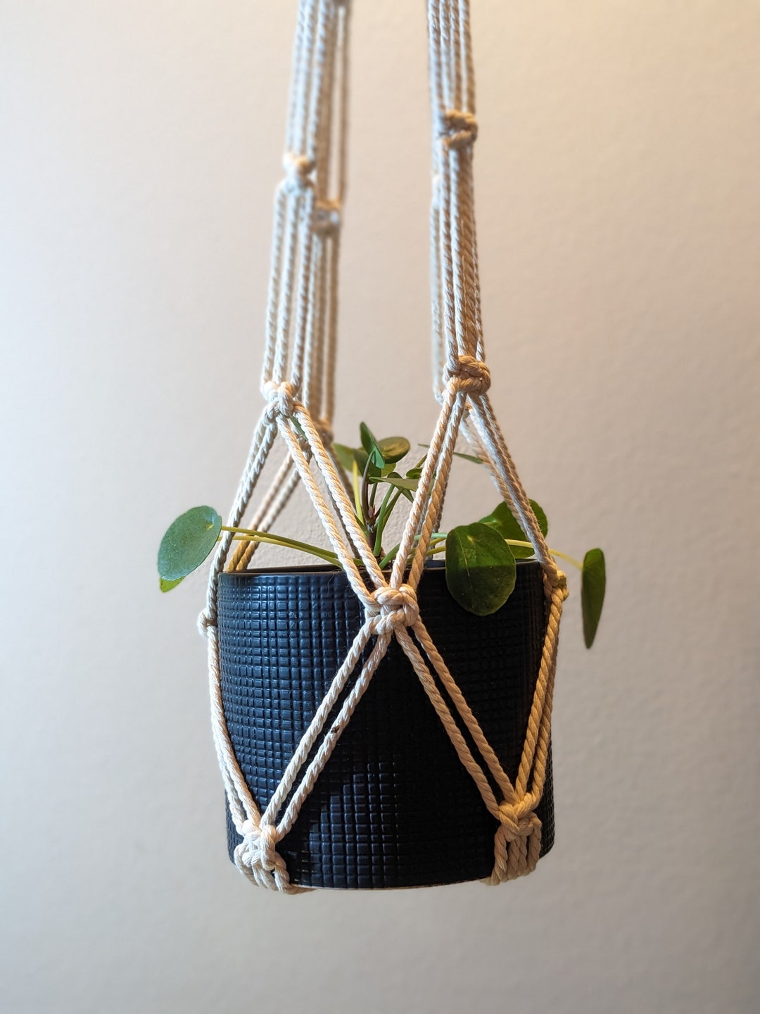 Macrame Hanging Plant Pot - Etsy
