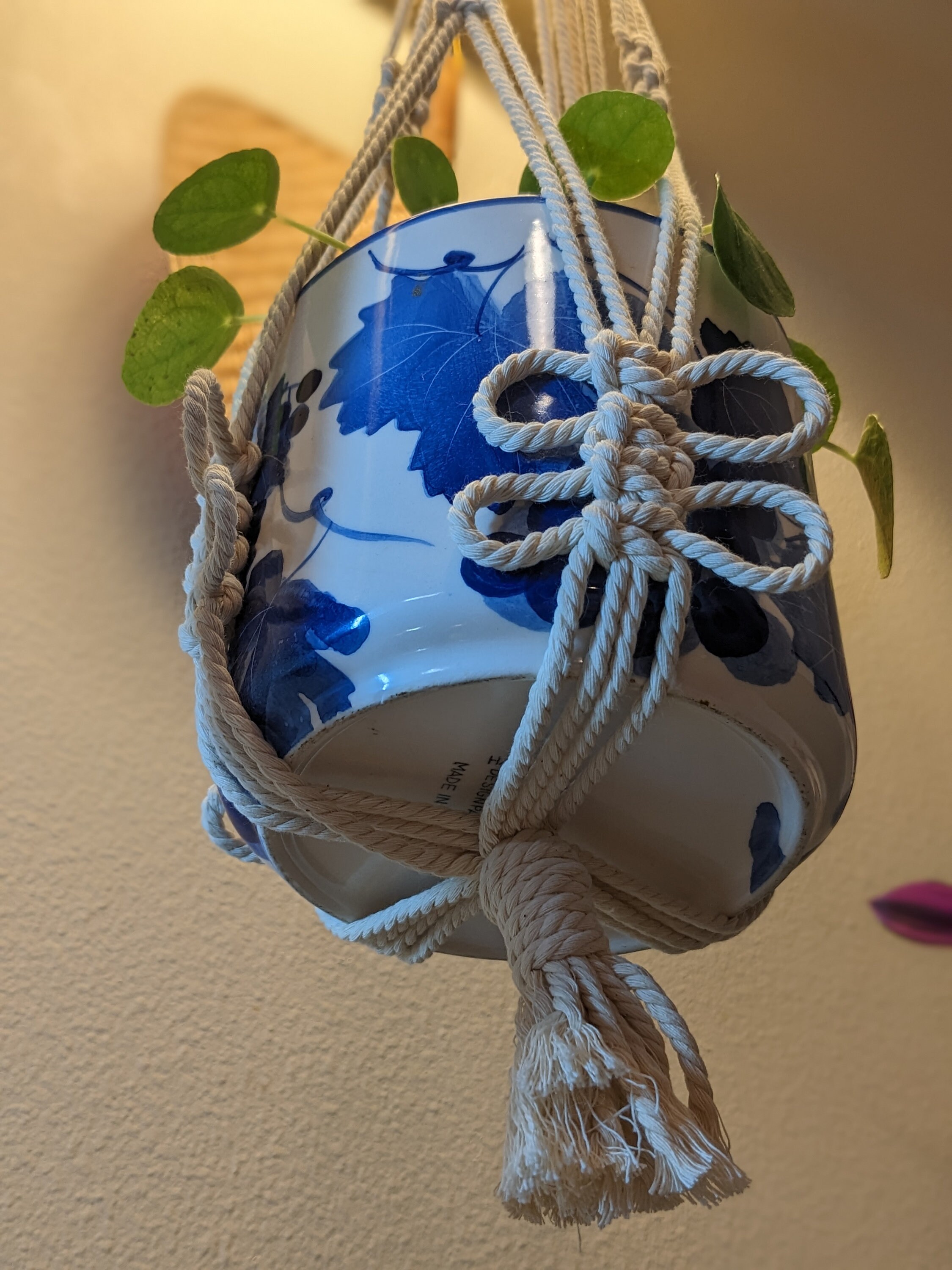 Macrame Hanging Plant Pot - Etsy
