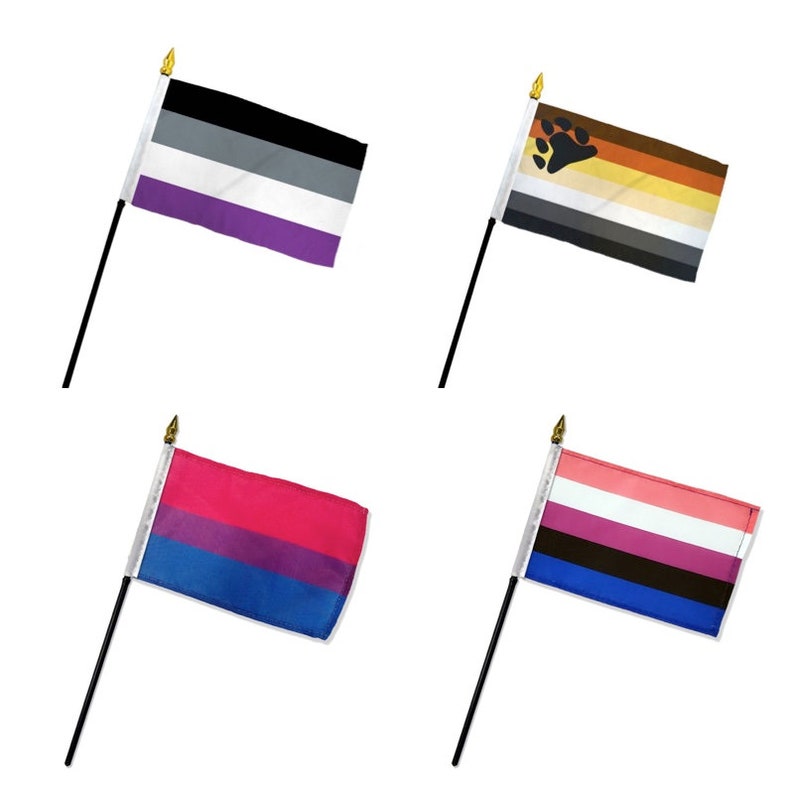 4 x 6 Pride Hand Flags LGBTQ Pride Flag Lesbian - Etsy México