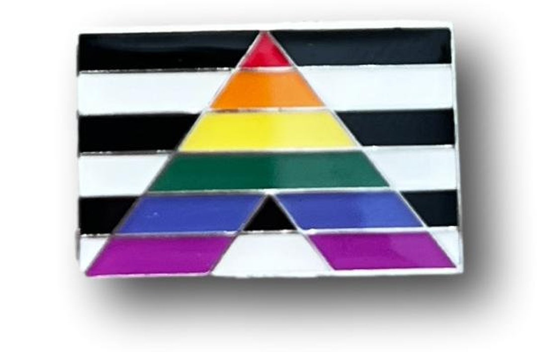 LGBTQIA Ally Flag Lapel Pins 1 X 5/8 Silver - Etsy