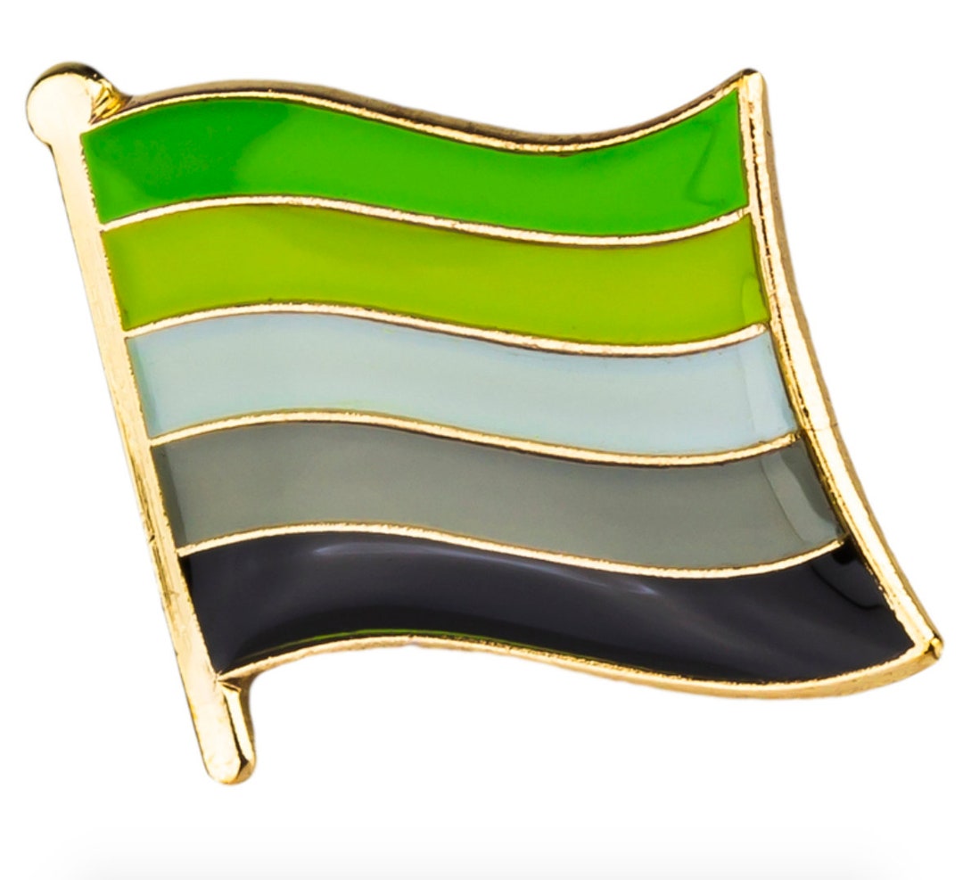 Aromantic Flag Lapel Pin 3/4 X 5/8 - Etsy