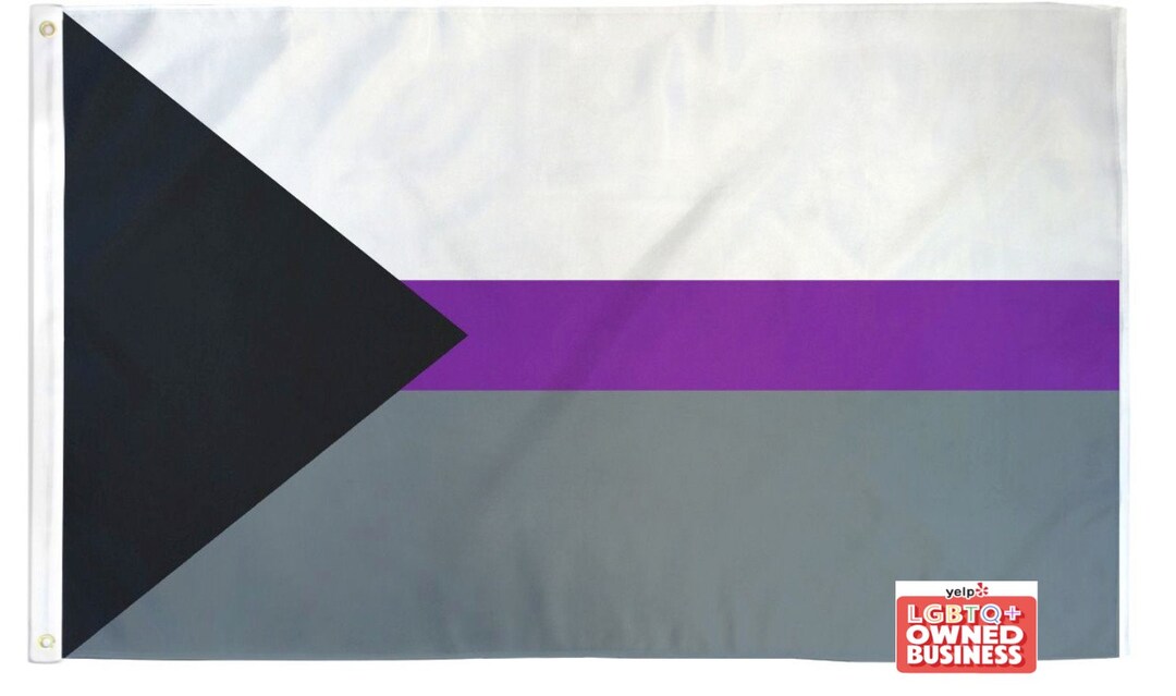 Demisexual Flag 3' X 5' LGBTQ Pride Flag Indoor/outdoor Flag - Etsy